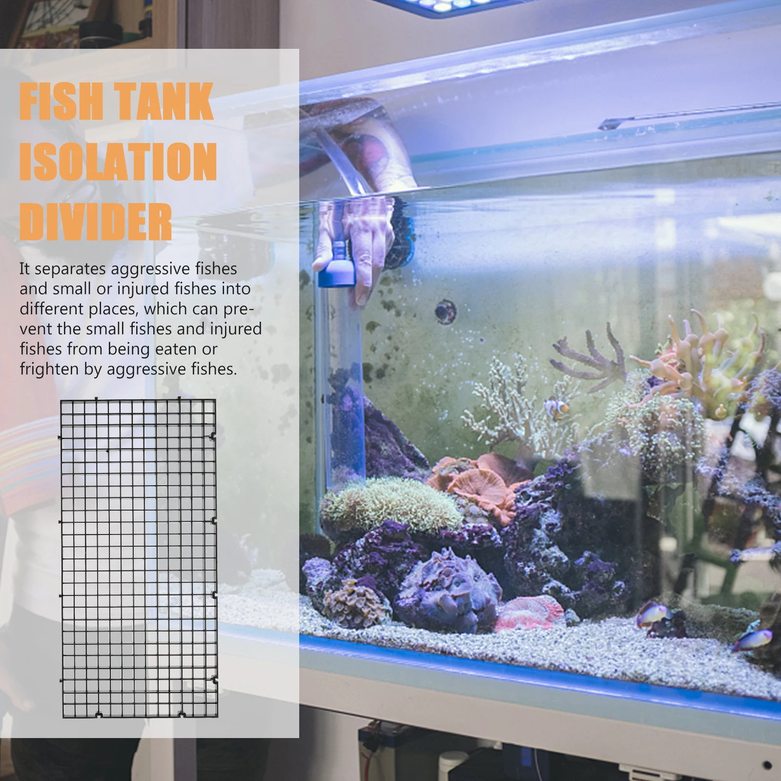 Everything You Need to Know About Saltwater Filtration for Aquariums