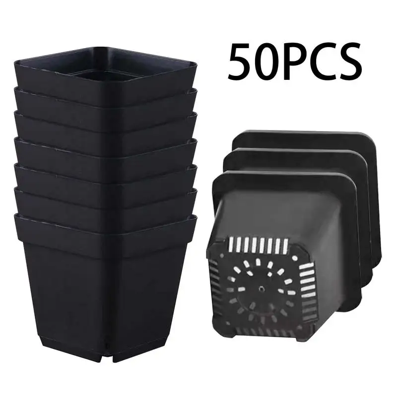 Seabe455f3a084c19a5fecd6927f537e35.jpg