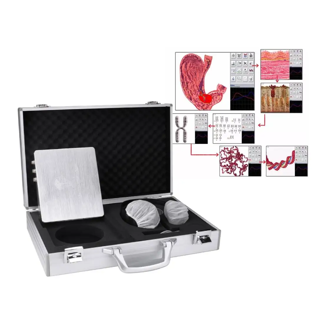 Multifunctional-Metatron-4025-Hunter-Bioresonance-NLS-18D-25D-Health ...