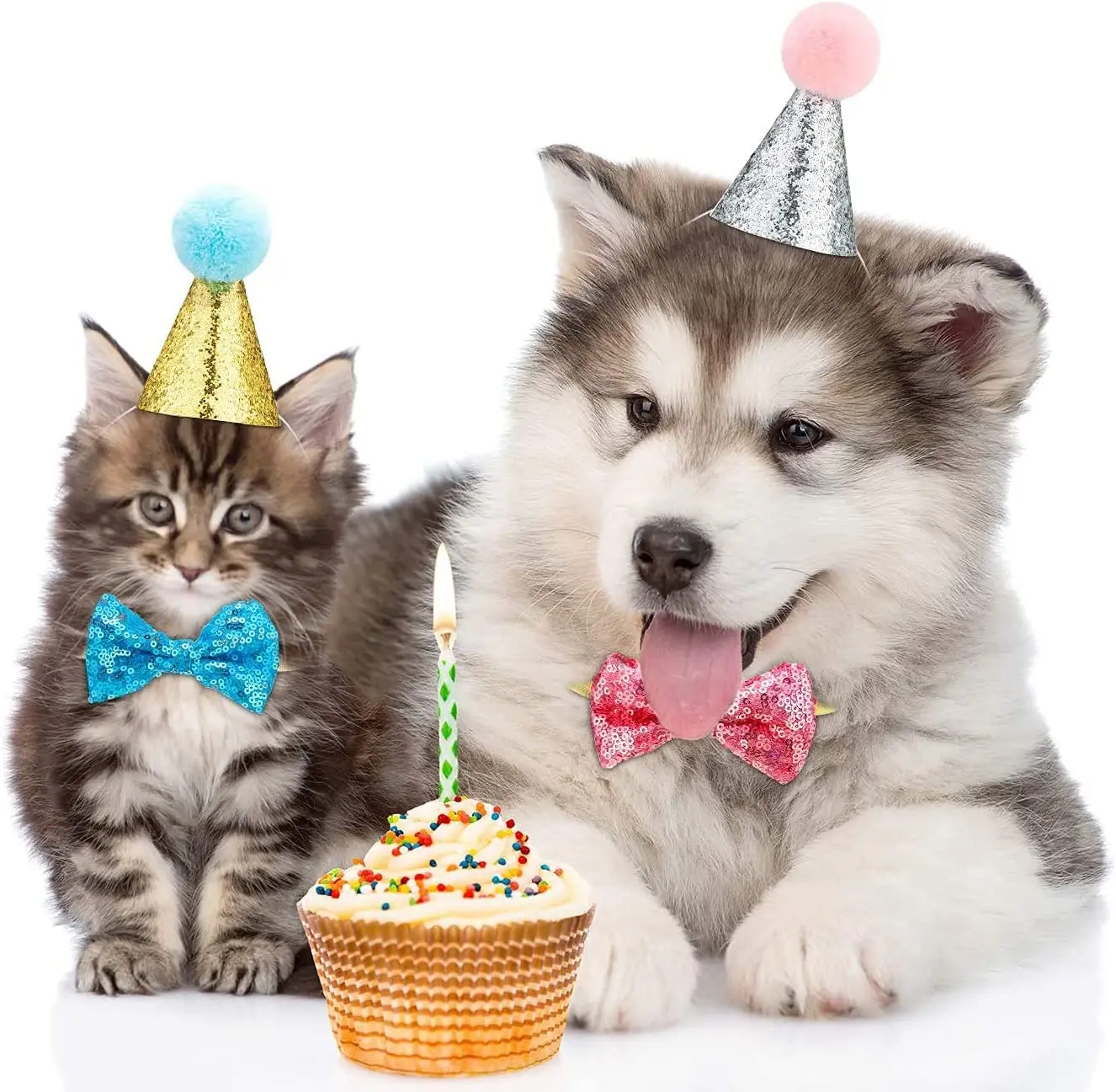 Cute Puppy Birthday Hat