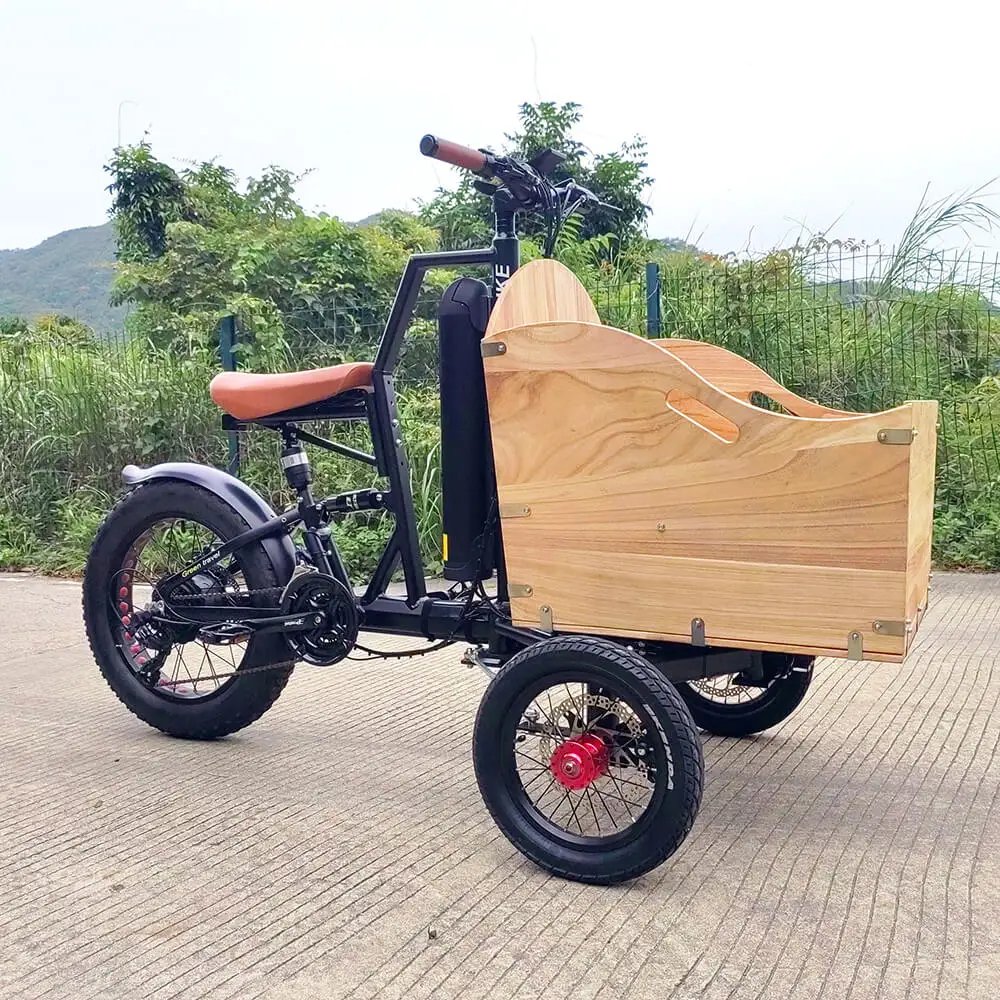 New design 3 wheel electric bicycle 48V three wheels adult cargo 250w ...