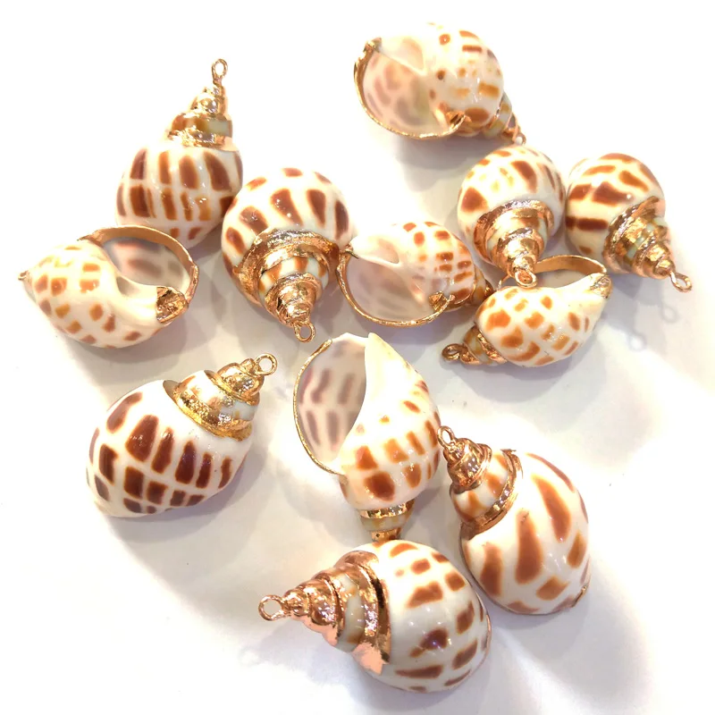 Wholesale-Natural-Snail-Shell-Pendant-Beads-Handmade-Crafts-DIY-Cute ...