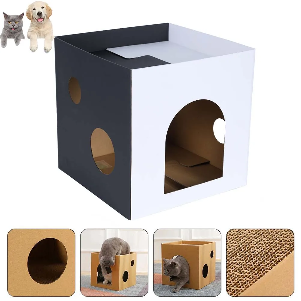 Interesting Cat Box