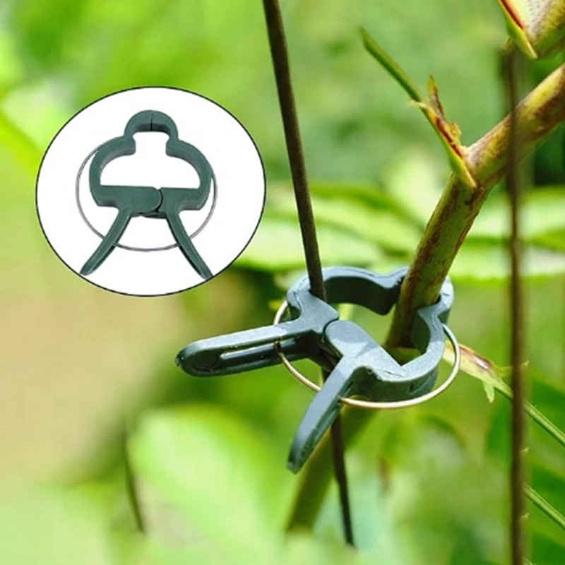 Plant-Support-Clips-Plant-Support-Clips-Plant-Clips-For-Climbing-Plants ...