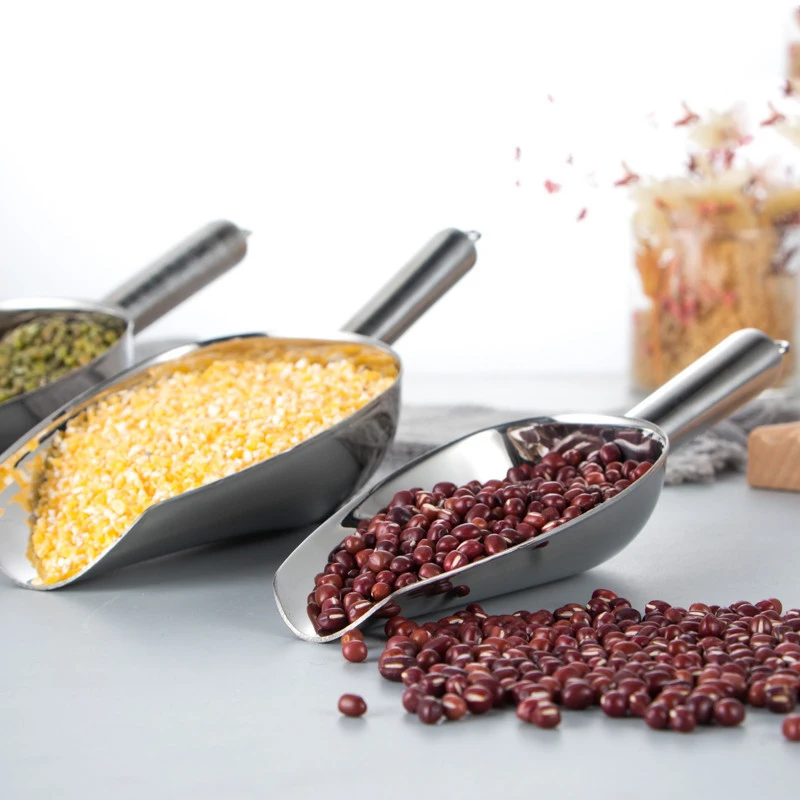Stainless Steel Flour Nut Scoop | Stainless Steel Shovel Kitchen - 1pcs ...
