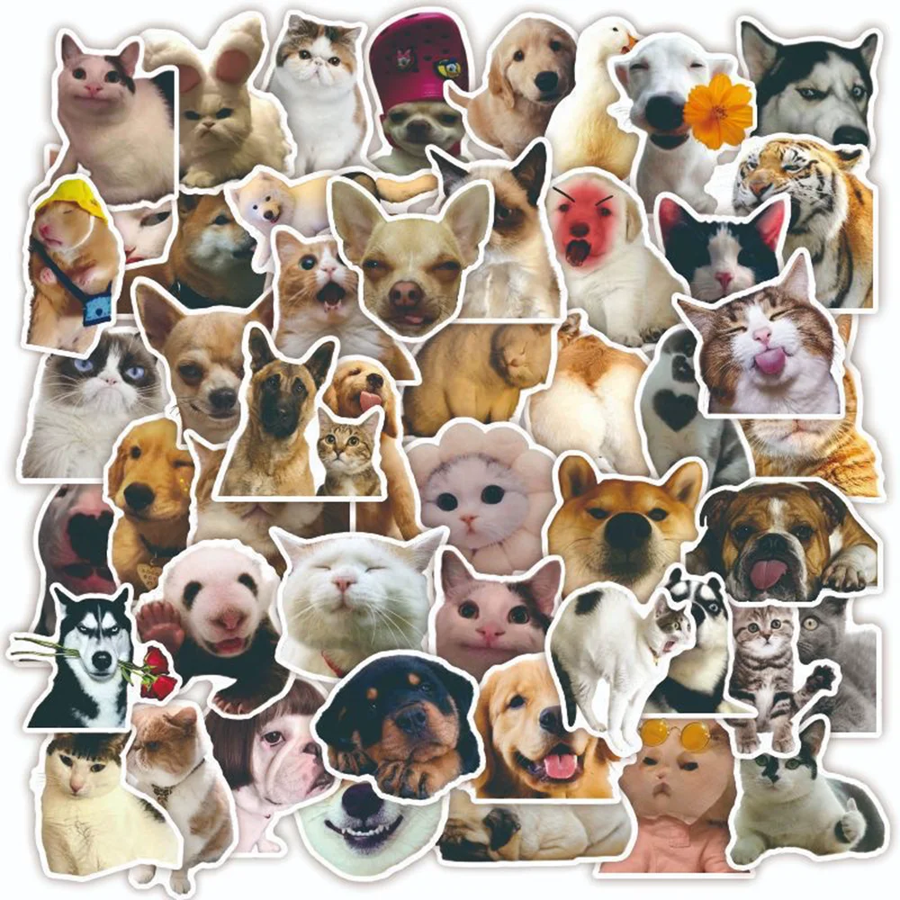 10-30-50PCS-Cat-MEME-Funny-Animals-Stickers-Vintage-Toy-DIY-Kids ...
