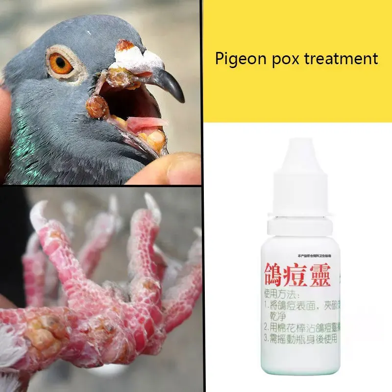 Pigeon-pox-Sukang-pigeon-pox-treatment-pigeon-nutritional-supplements ...