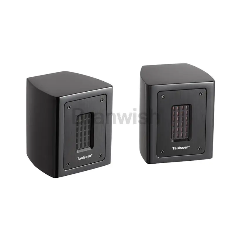 5Ohm-Brand-New-Fever-Independent-Ribbon-Super-Tweeter-External-Tweeter ...