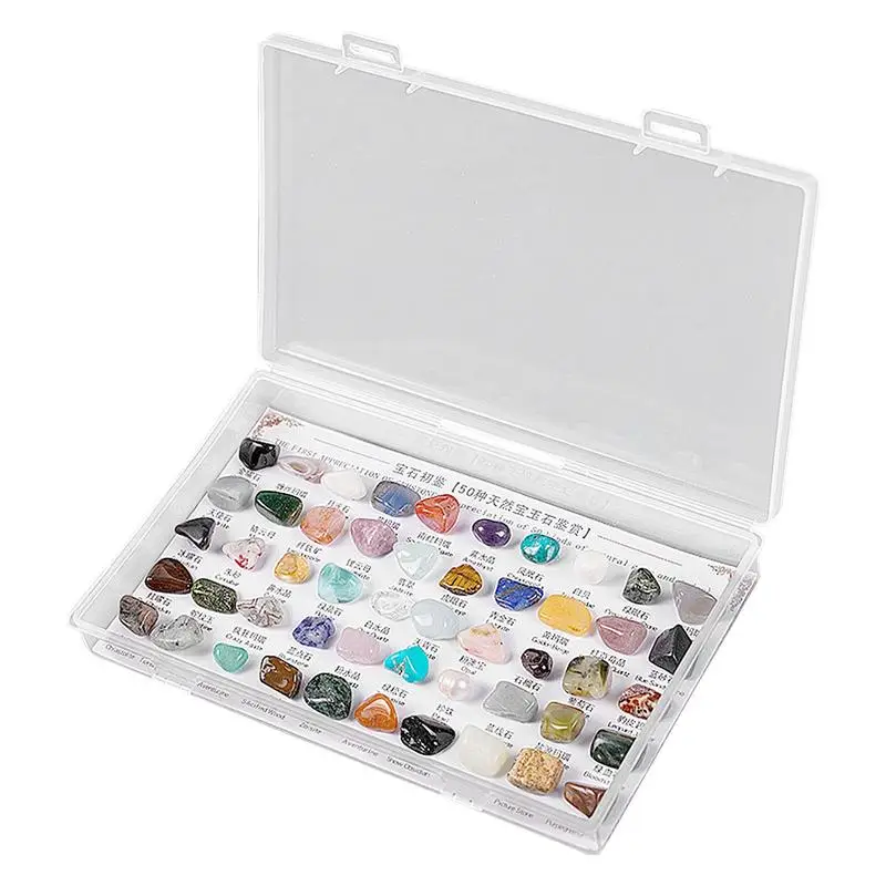 Rock Collection Box For Kids Natural Gemstone Crystal Sets Geology ...