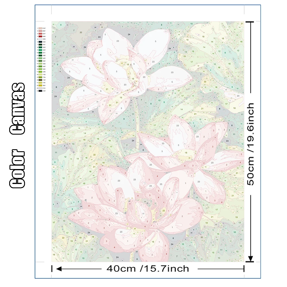 Lotus Flower Drawings Color