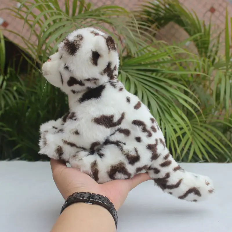 Anime Baby Snow Leopard