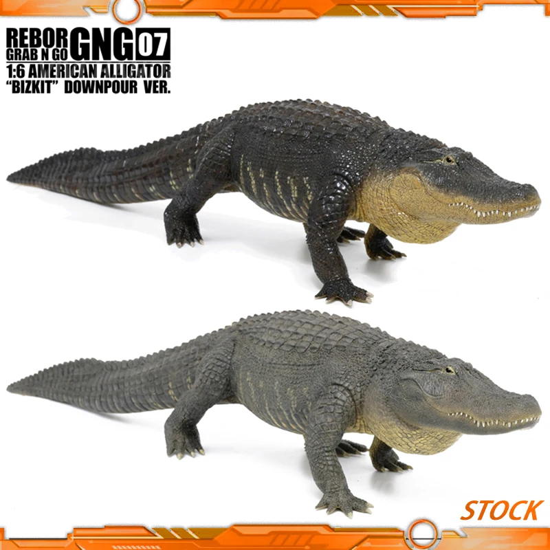 In-Stock-REBOR-GNG-1-6-62cm-American-Alligator-Model-Modern-Reptiles ...