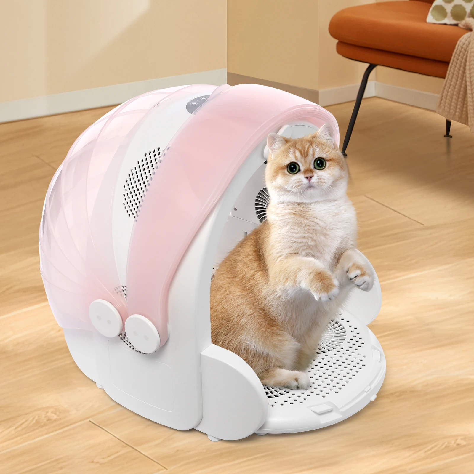 Foldable-Pet-Drying-Box-360-Airflow-Drying-Machine-for-Cats-Dogs ...