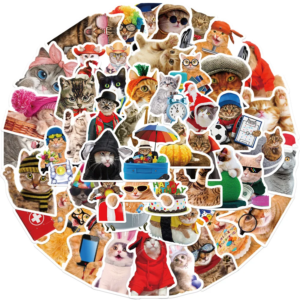 10-30-50PCS-Funny-Kitty-Cat-Animal-Meme-Stickers-Cute-Decals-Toys ...