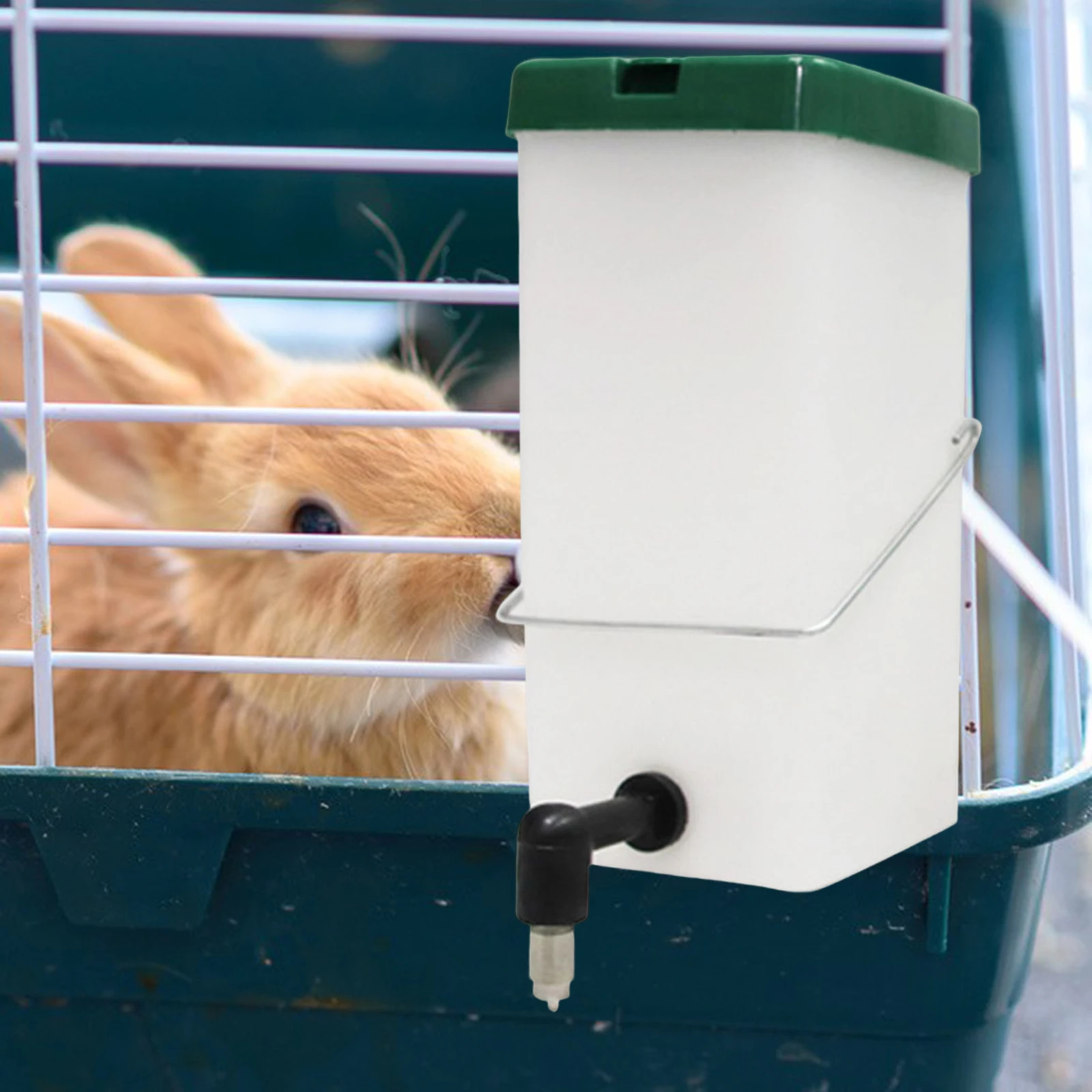 Automatic-Drinker-Water-Feeder-Dispenser-Drinking-Bowl-for-Rabbit ...