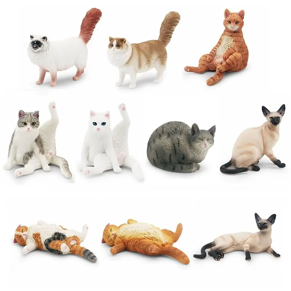 Realistic-Cat-Model-Ornament-Cat-Figure-Kids-Doll-Toy-Kitten-Statue ...
