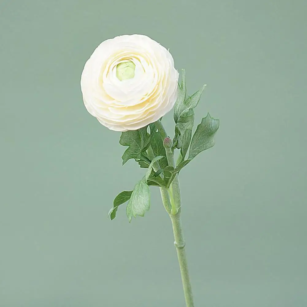 White Ranunculus Peonies