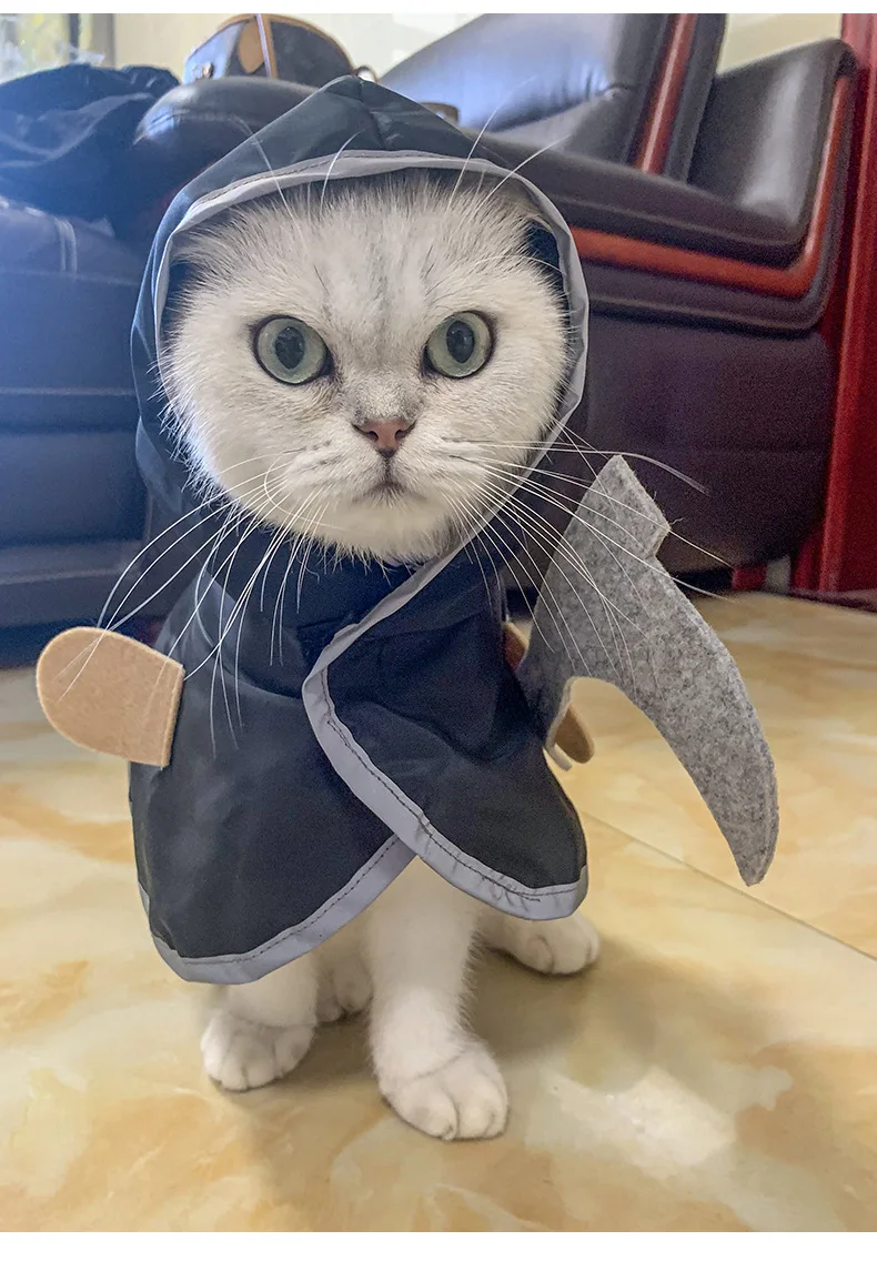 Halloween Cat Costume Ideas