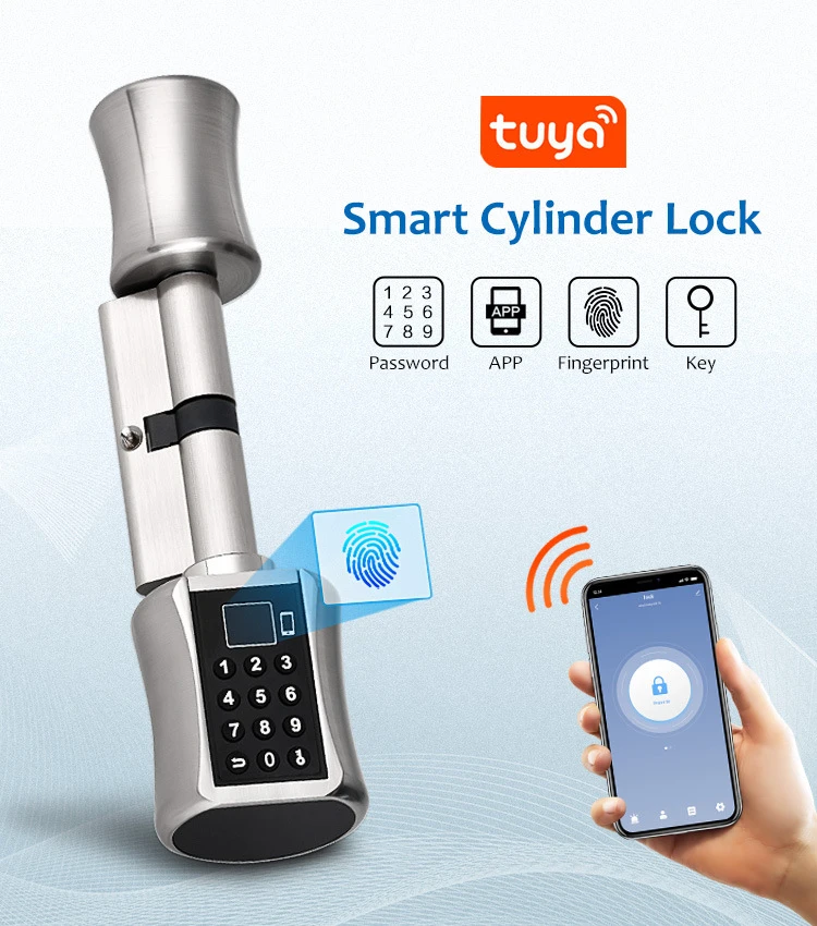 Bluetooth Tuya APP Fingerprint Password Swipe Card Lock Key Spare Ball ...