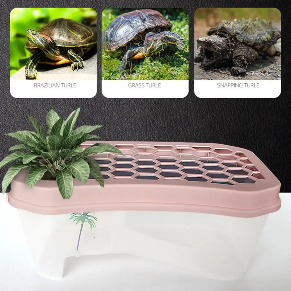 1 Pcs Mini Premium Turtle Tank With Basking Ramp Platform Multi area ...