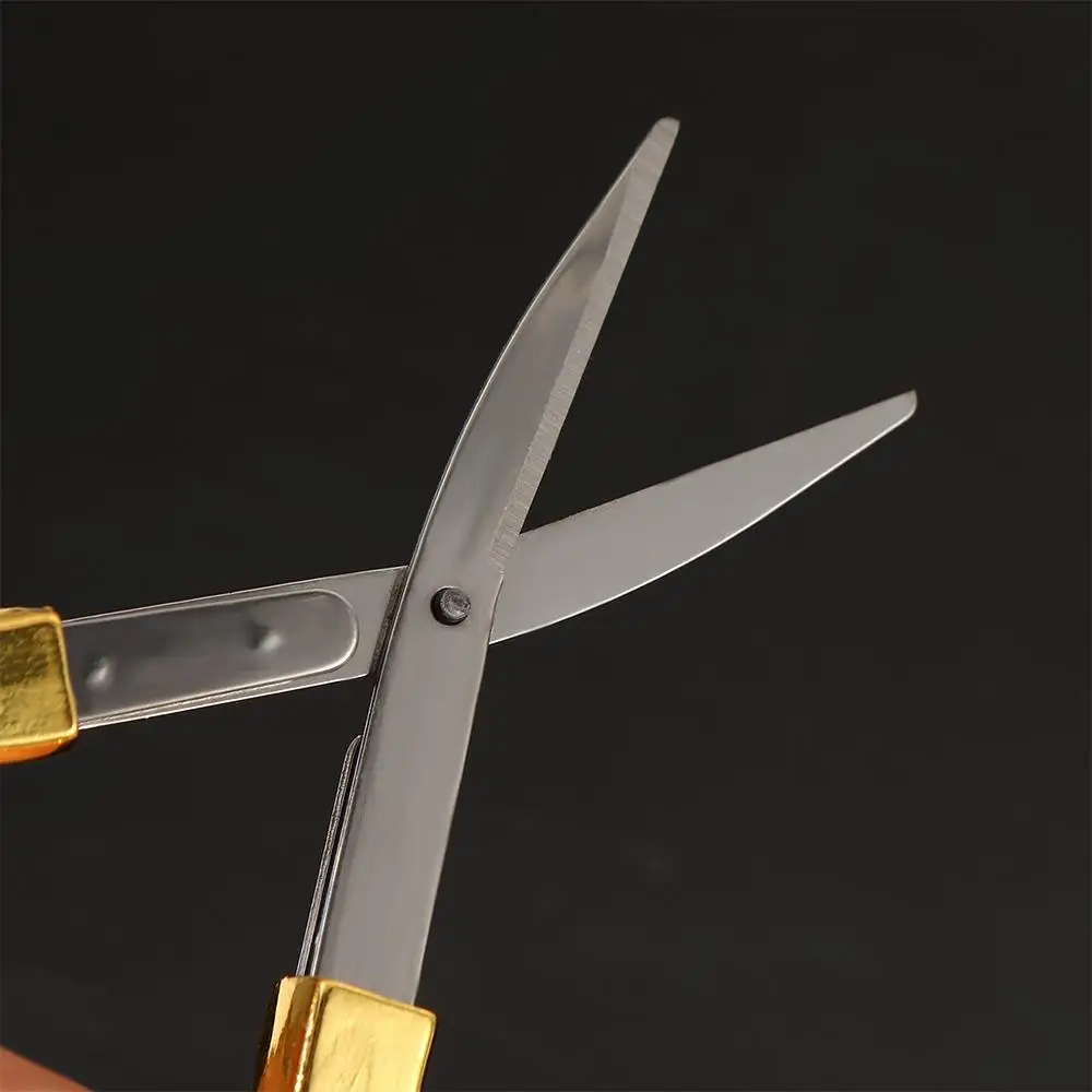 Stainless steel Fishing Scissors – Outdoor Gear & Equipment | The ...