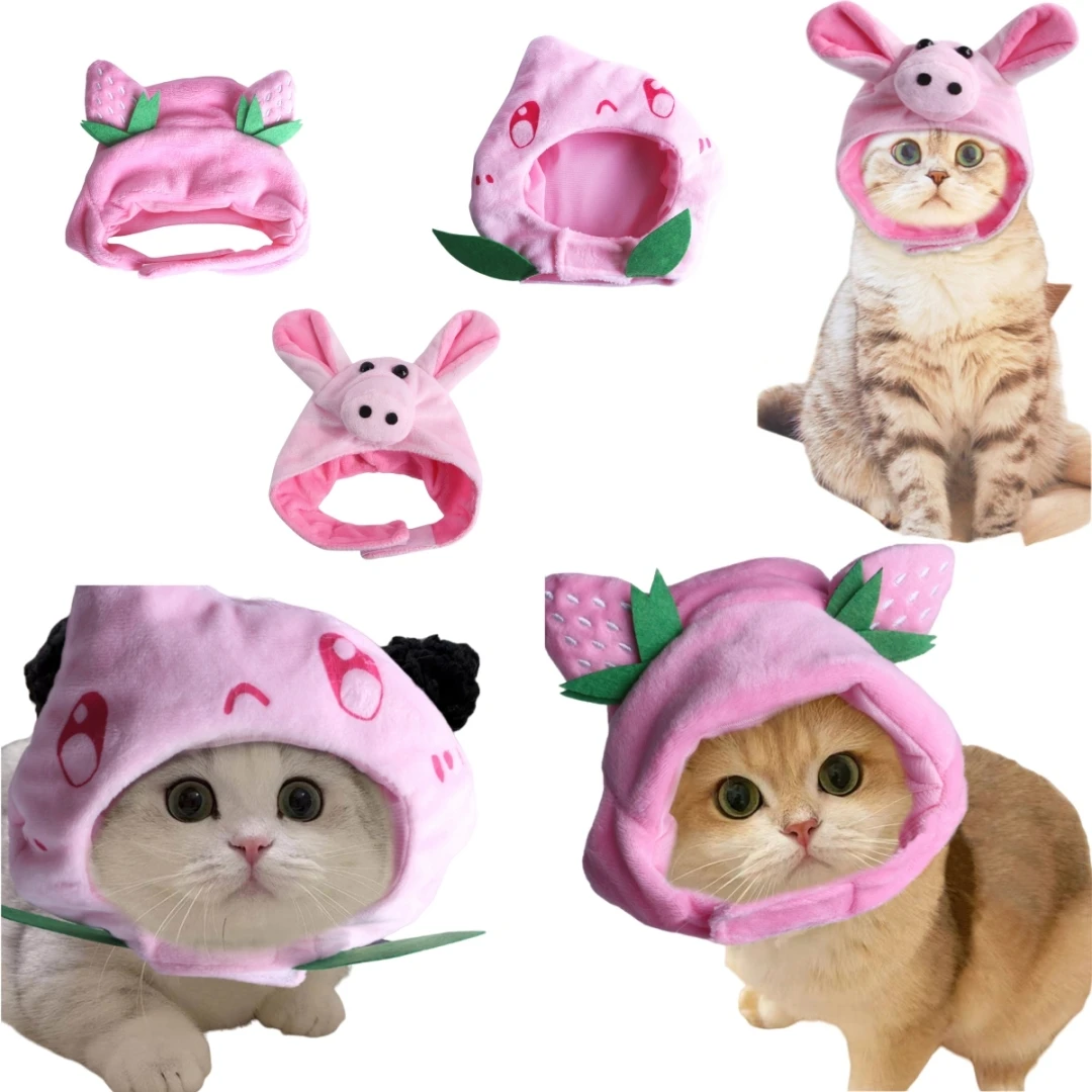 3-pieces-of-cat-hat-cat-clothing-fruit-hat-with-ears-fun-cat-hat ...