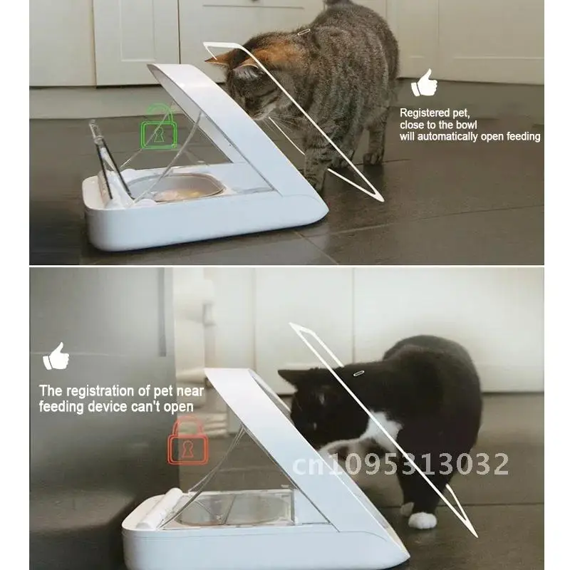 Multi-pet Food Bowl SureFeed Microchip Pet Feeder – Selective Automatic ...