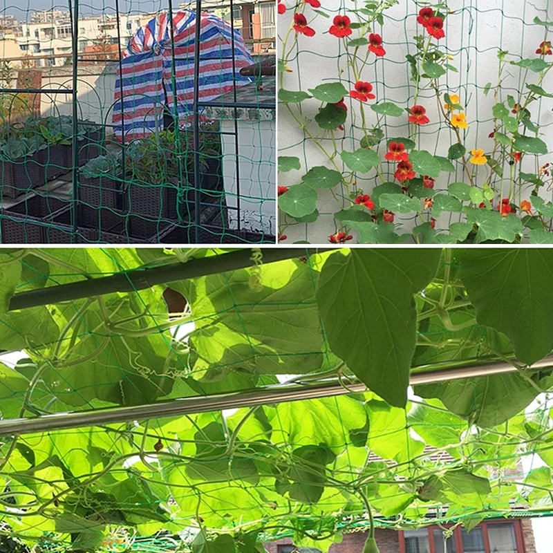 High-quality Garden Climbing Netting Strong Nylon Plant Trellis for ...