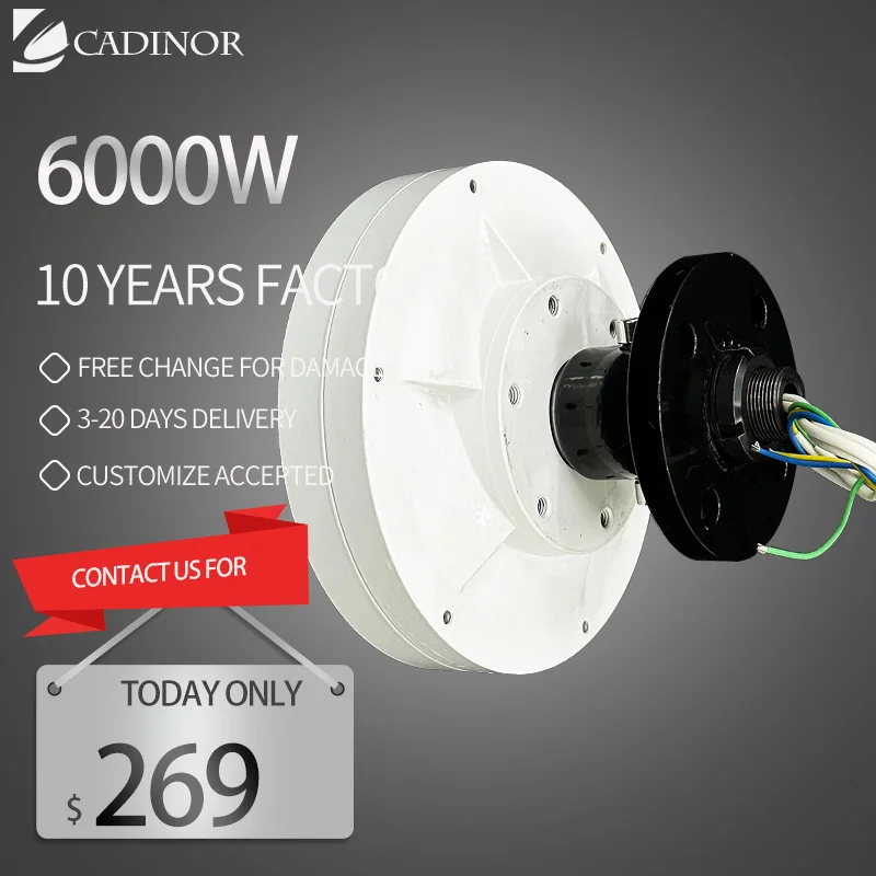 5000W-5KW-Alternator-Vertical-Permanent-Magnet-Coreless-Maglev ...