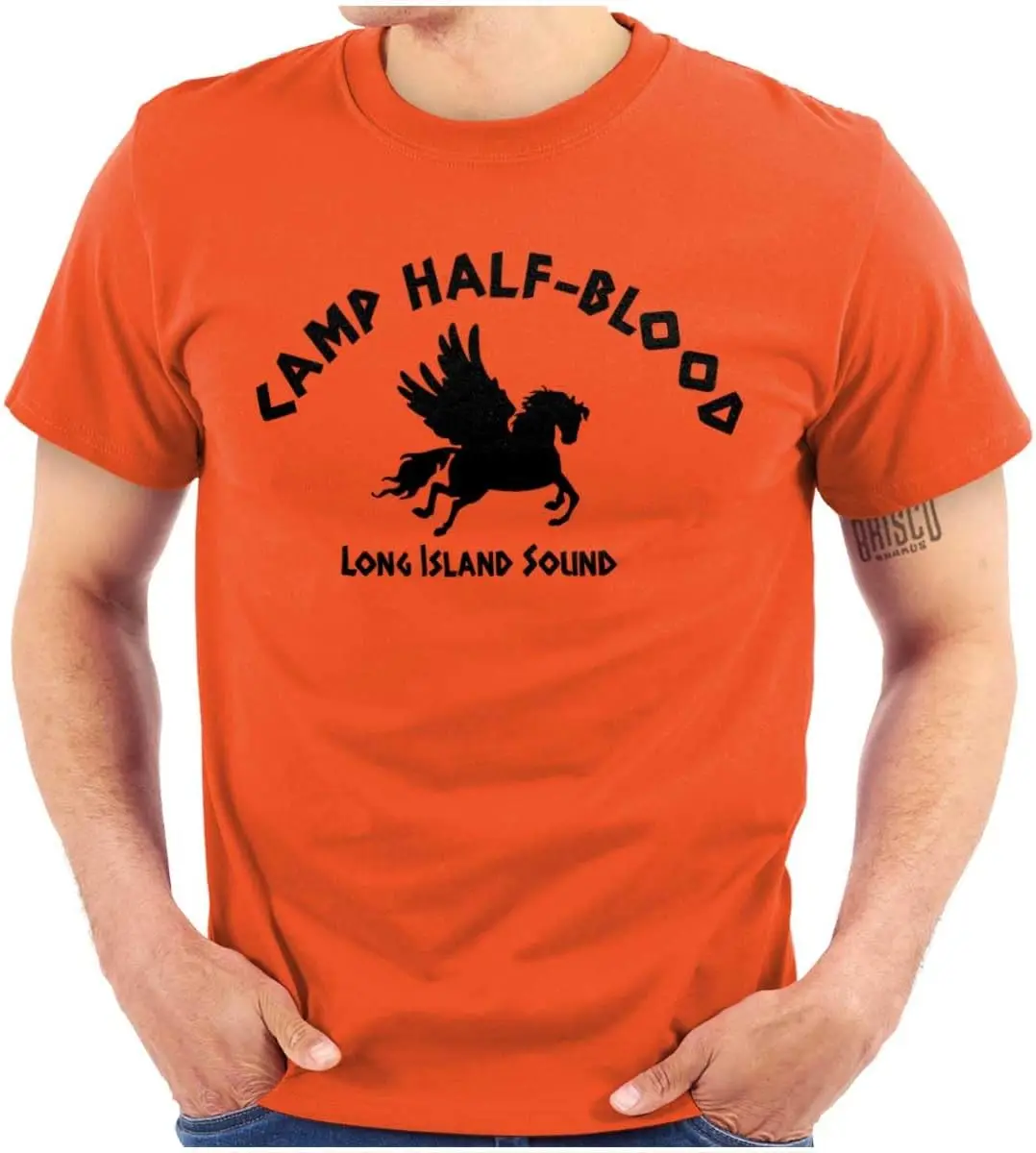 Brisco-Brands-Camp-Half-Blood-Greek-Mythology-Graphic-T-Shirt-Men-or ...
