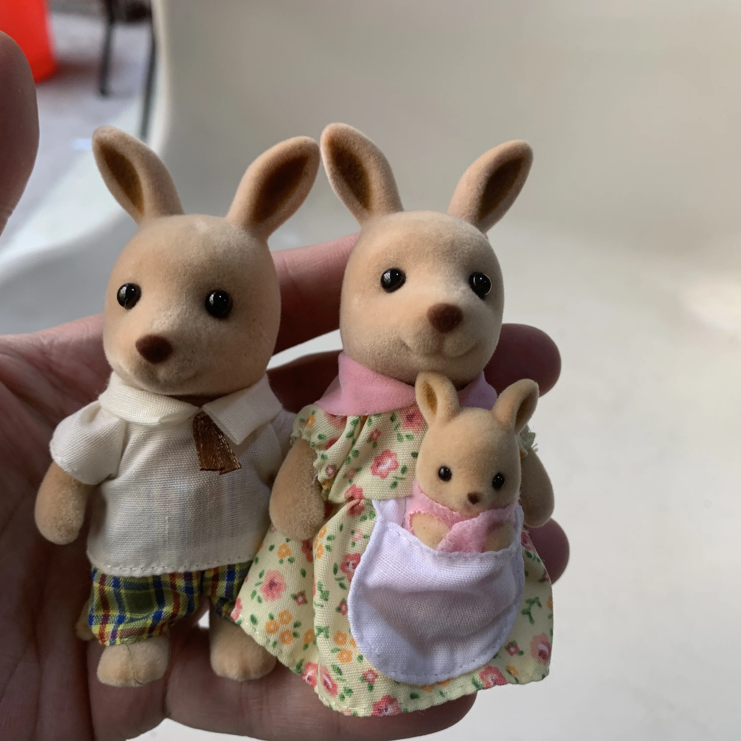 Miniature Kangaroo Pet