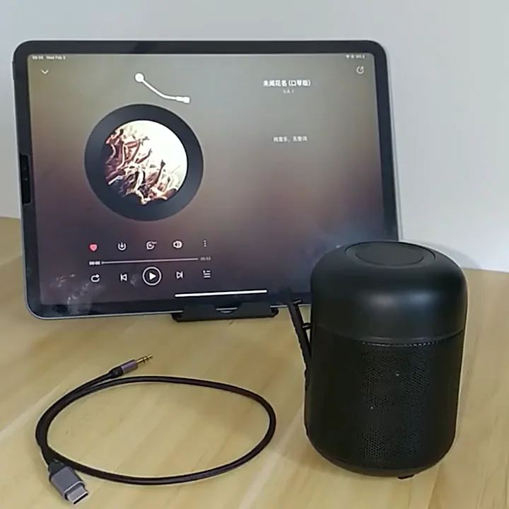 LS-Y81c USB Type C to 3.5mm Aux Audio Earphone Cable Adapter Headphone ...