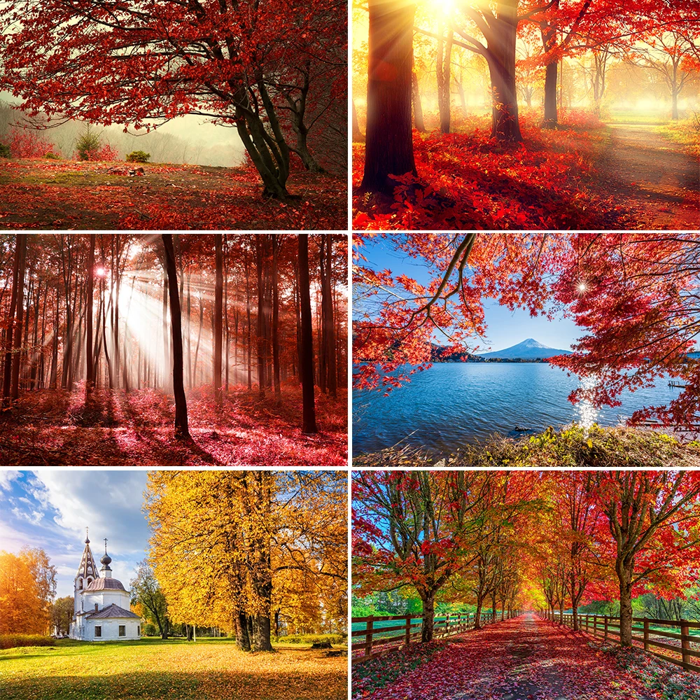 Photography Backdrop Autumn Trees | Backdrop Background Photo Autumn ...