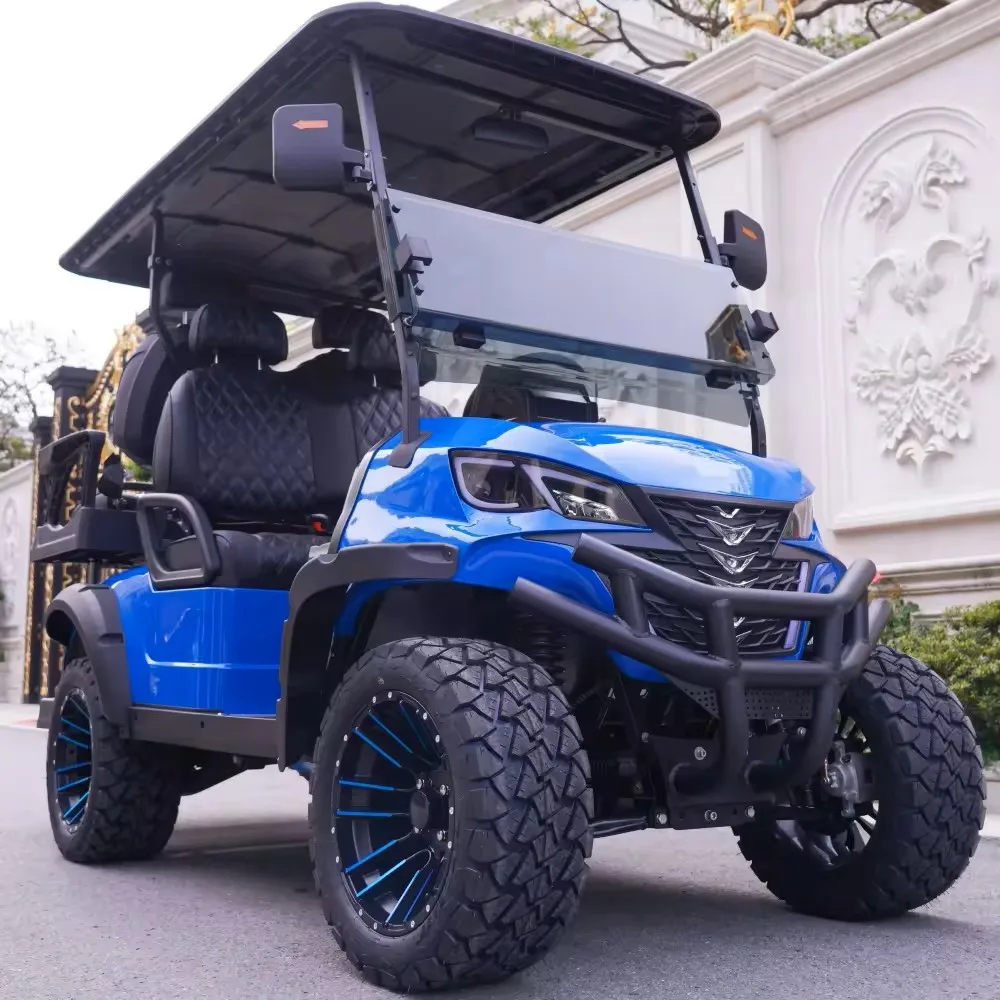 Gasoline-powered-golf-carts-off-road-vehicles-2-2-4-seater-4-2-seater ...