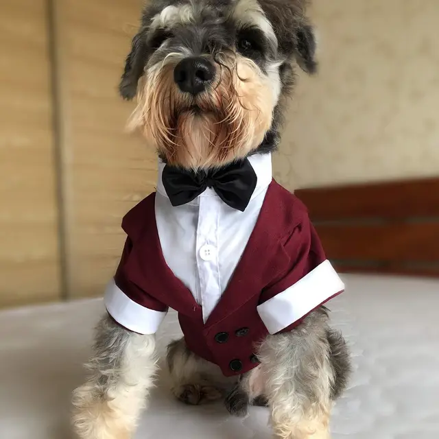 Esmoquin De Boda Para Perro Traje De Boda De Mascotas Esmoquin Con