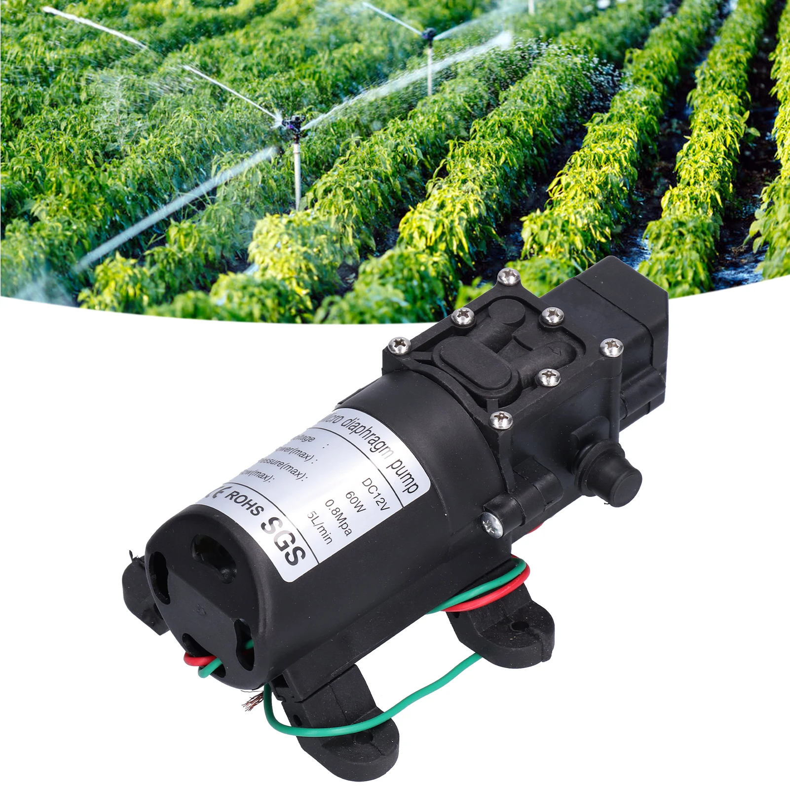 12V Water Pressure Diaphragm Pump 60W Self Priming Booster Sprayer Pump ...