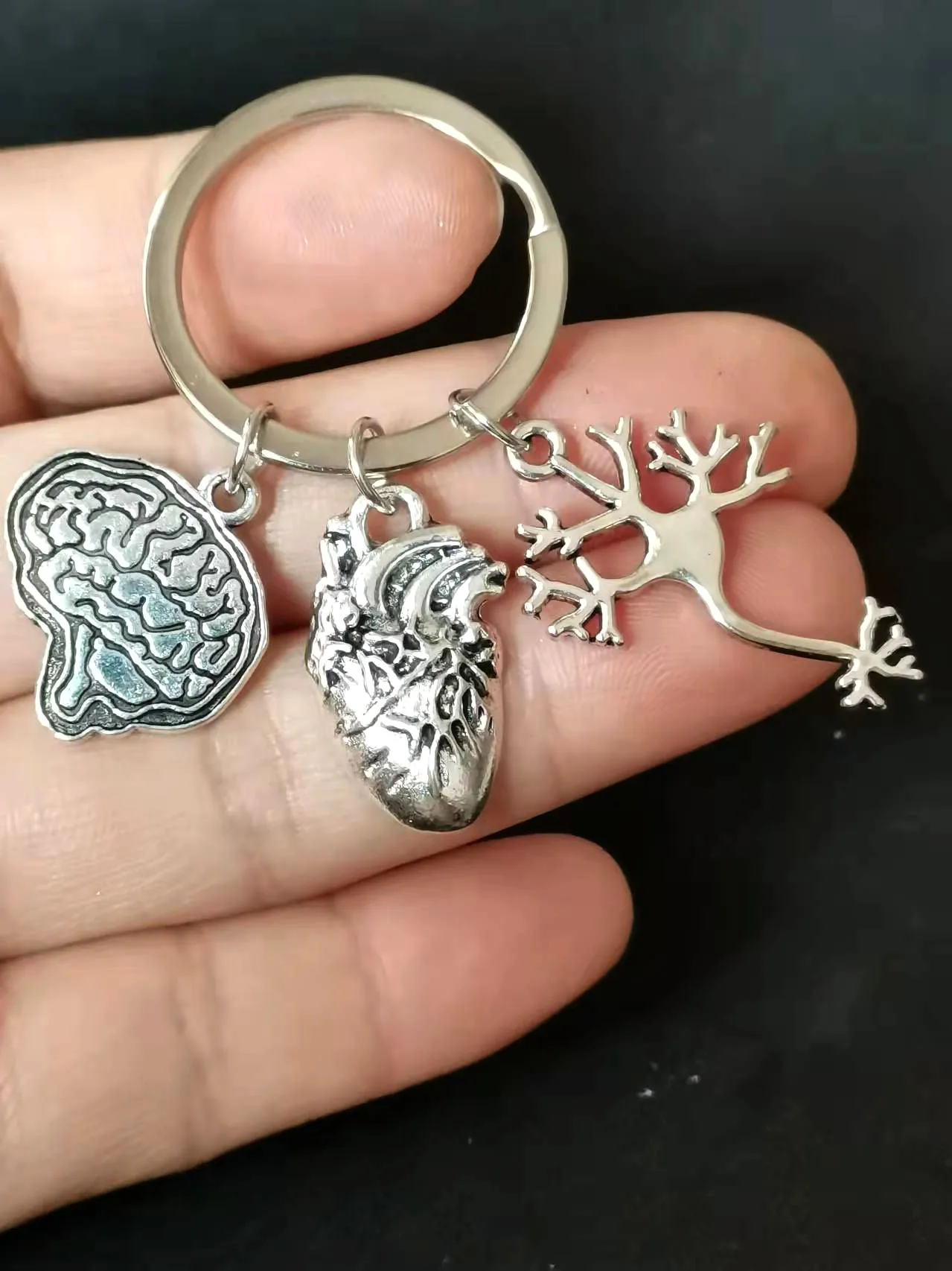 1-Piece-Keychain-Medical-Anatomy-Key-Brain-Heart-Nerve-Cell-Shaped ...