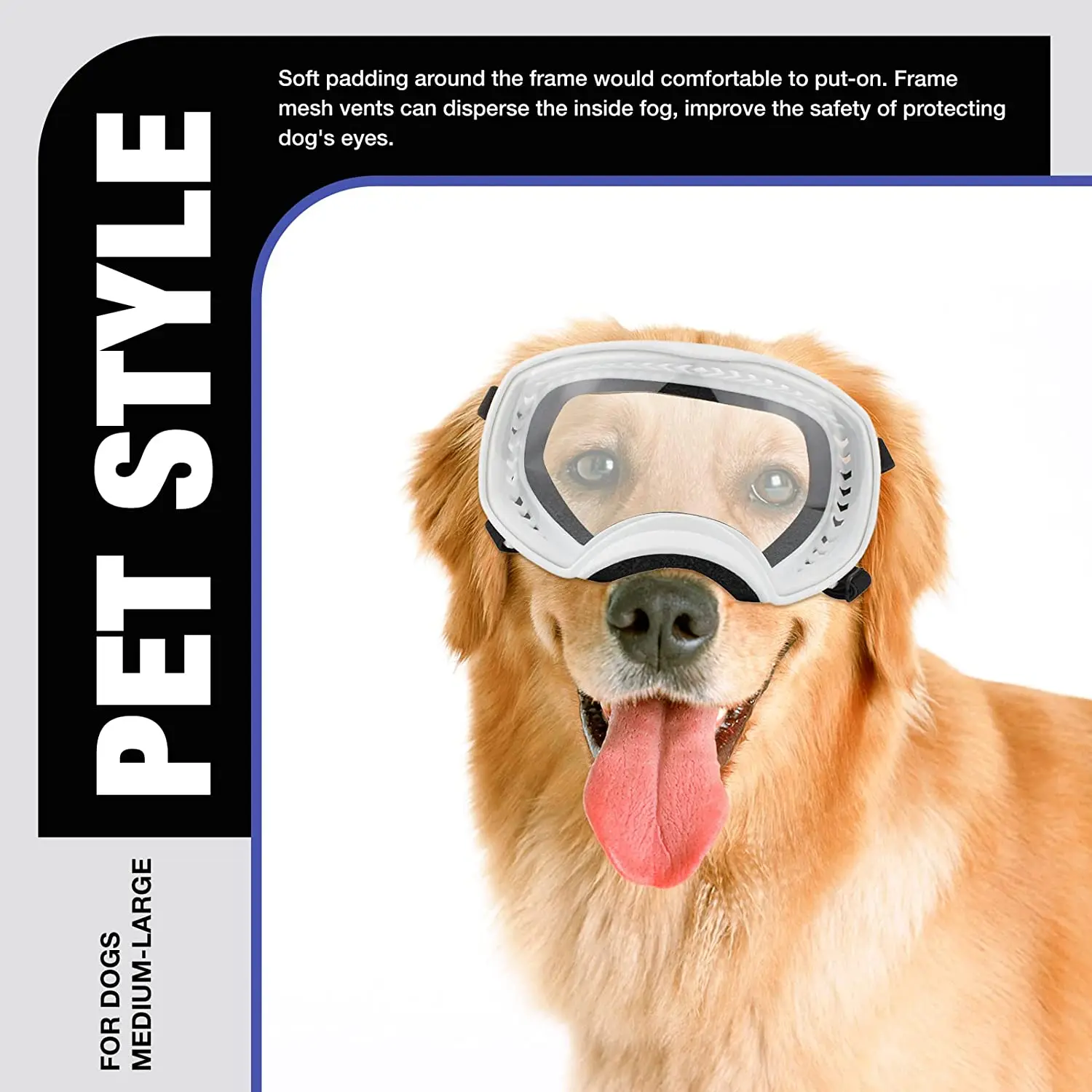 How Can I Protect My Dogs Eyes