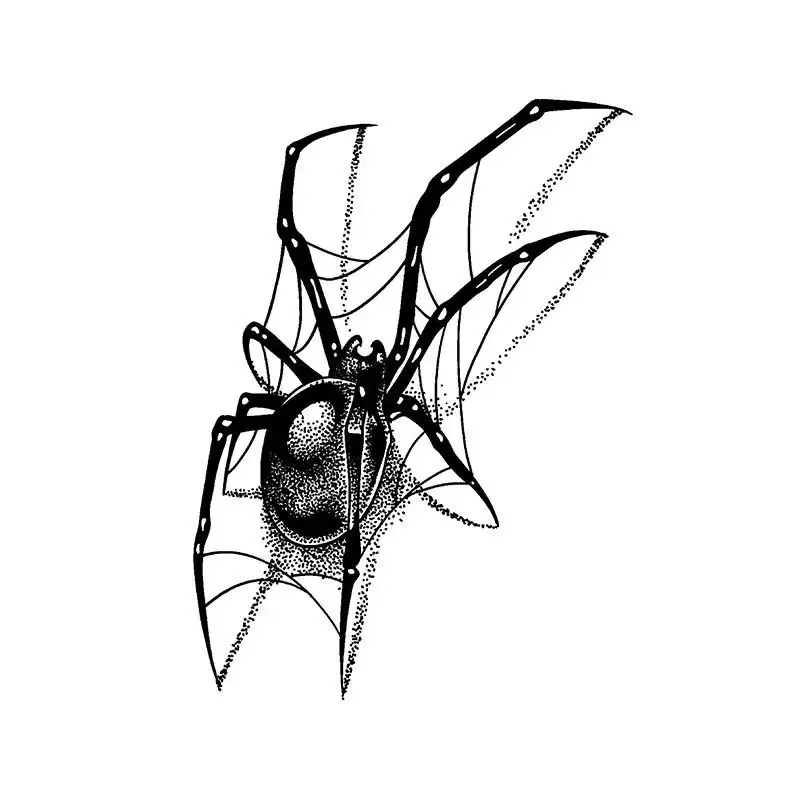 Spider Drawing Tattoo