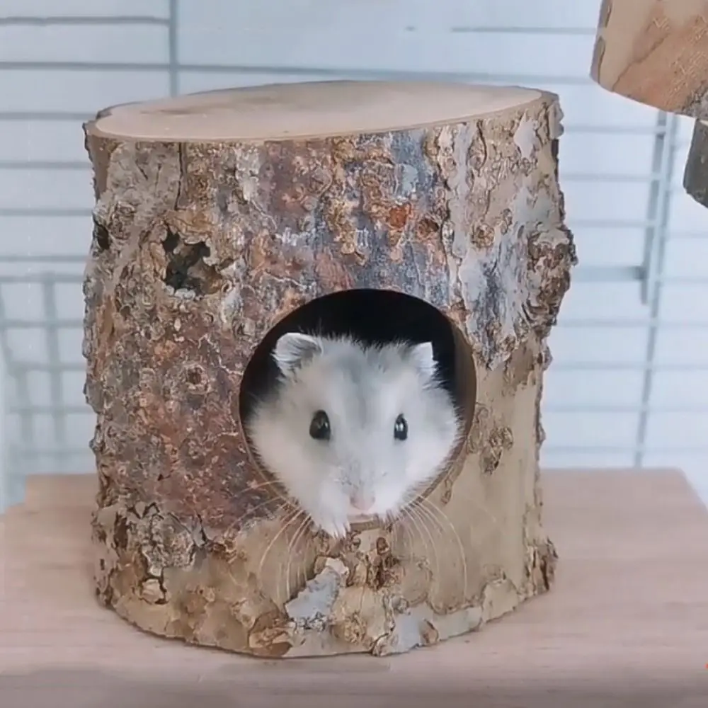 Creative-Wood-Hamster-Escape-Nest-Bite-Resistant-Hamster-Tunnel-Hamster ...