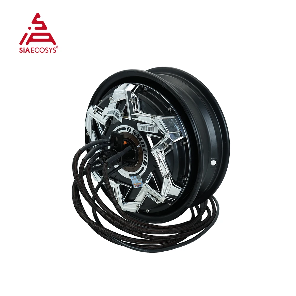 12 inch Hub Motor QS260 12KW Wind Racing Edition
