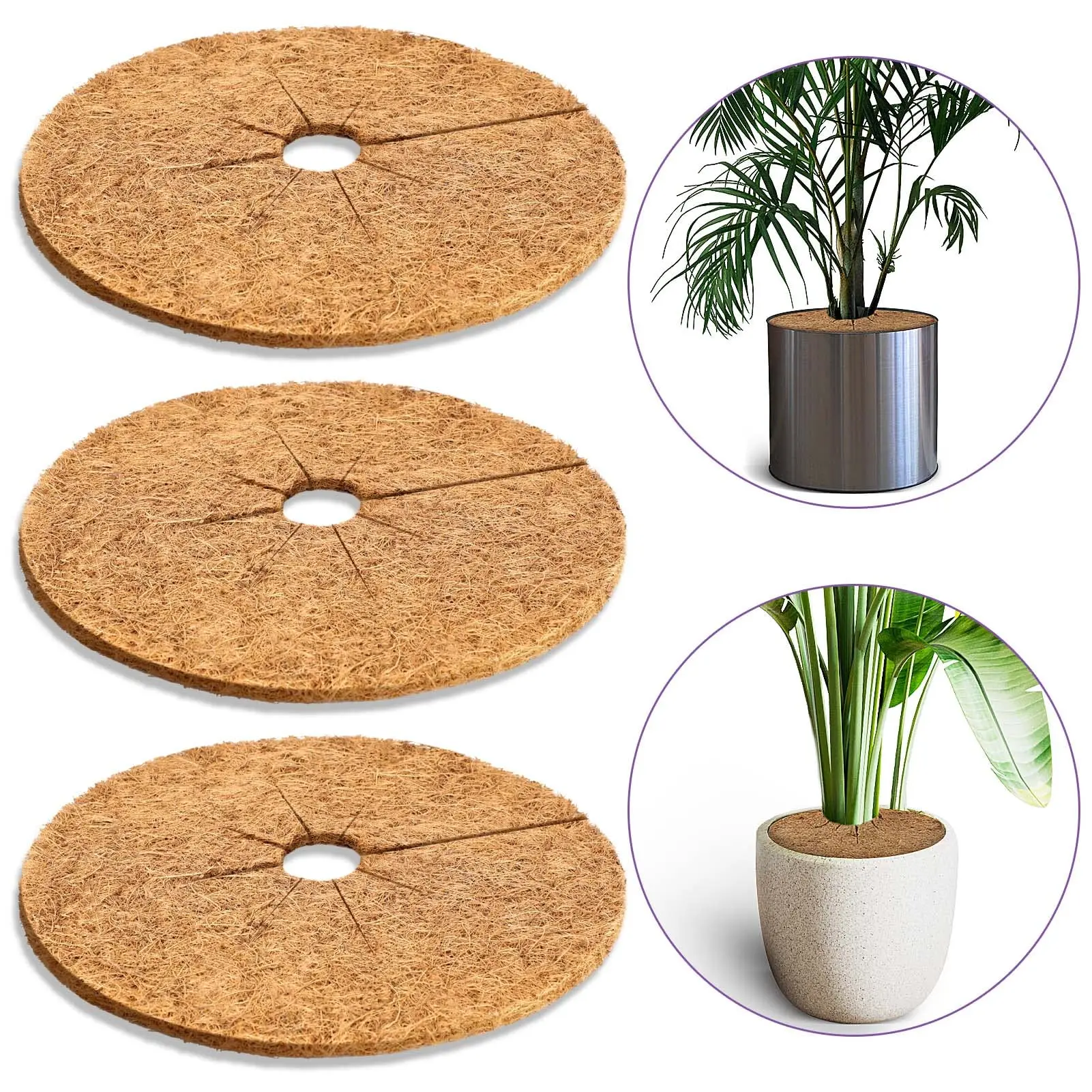 5Pcs-Coconut-Tree-Mulch-Ring-Coco-Coir-Fiber-Tree-Protector-Mat-Tree ...