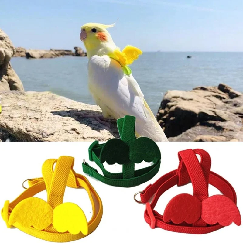 Long-Cable-Bird-Harness-Leash-Anti-Bite-Training-Rope-Decorative ...