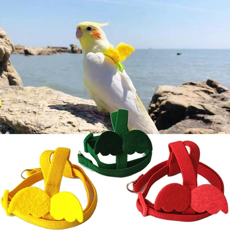 Parrot Starling Pet Bird Leash | Pet Parrot Bird Harness Leash - Bird ...