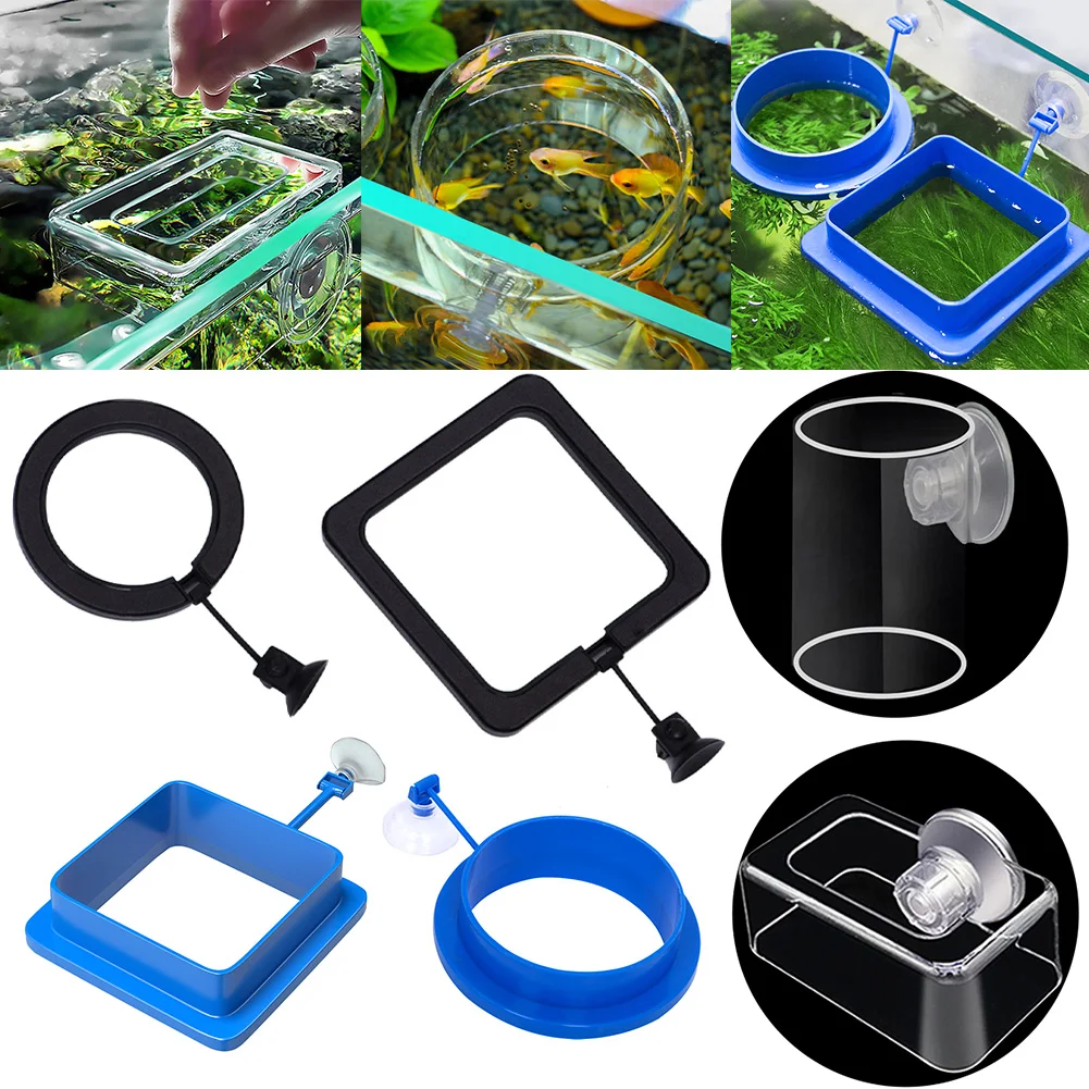 Feeder Aquarium Fish Tank | Fish Tank Feeder Suction Cup | Aquarium ...