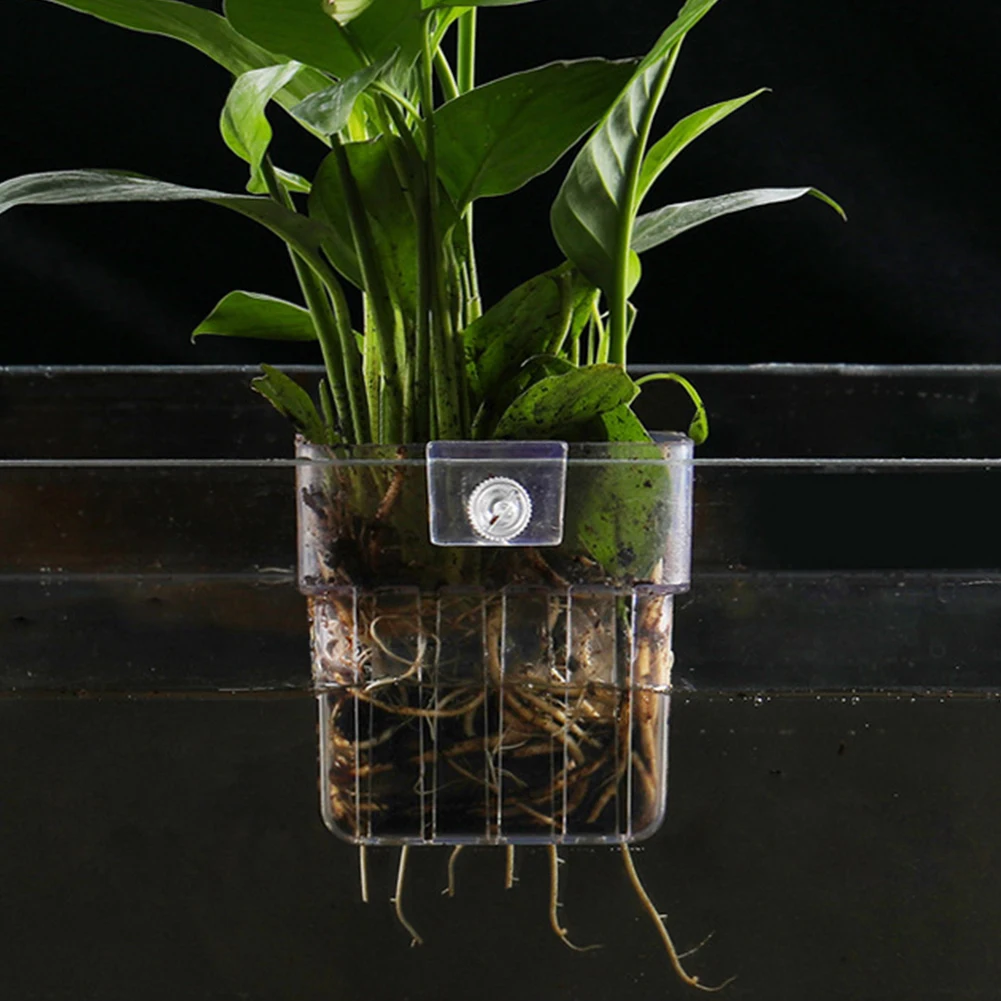 Hanging-Aquarium-Planter-Cups-Wall-Mounted-Aquatic-Plants-Holder ...
