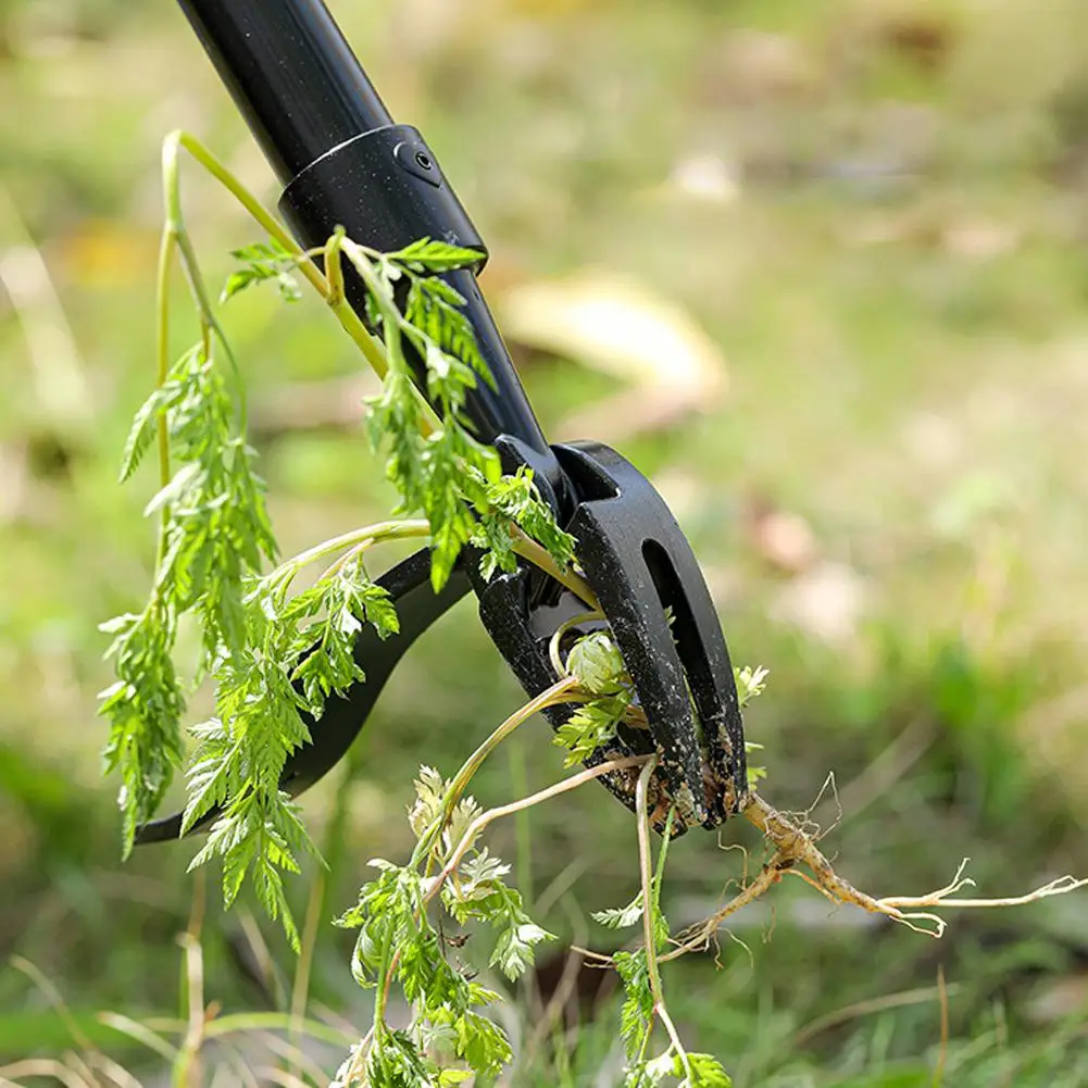 Stand Up Weed Puller Tool with Screw Holes Portable Weeding Head ...