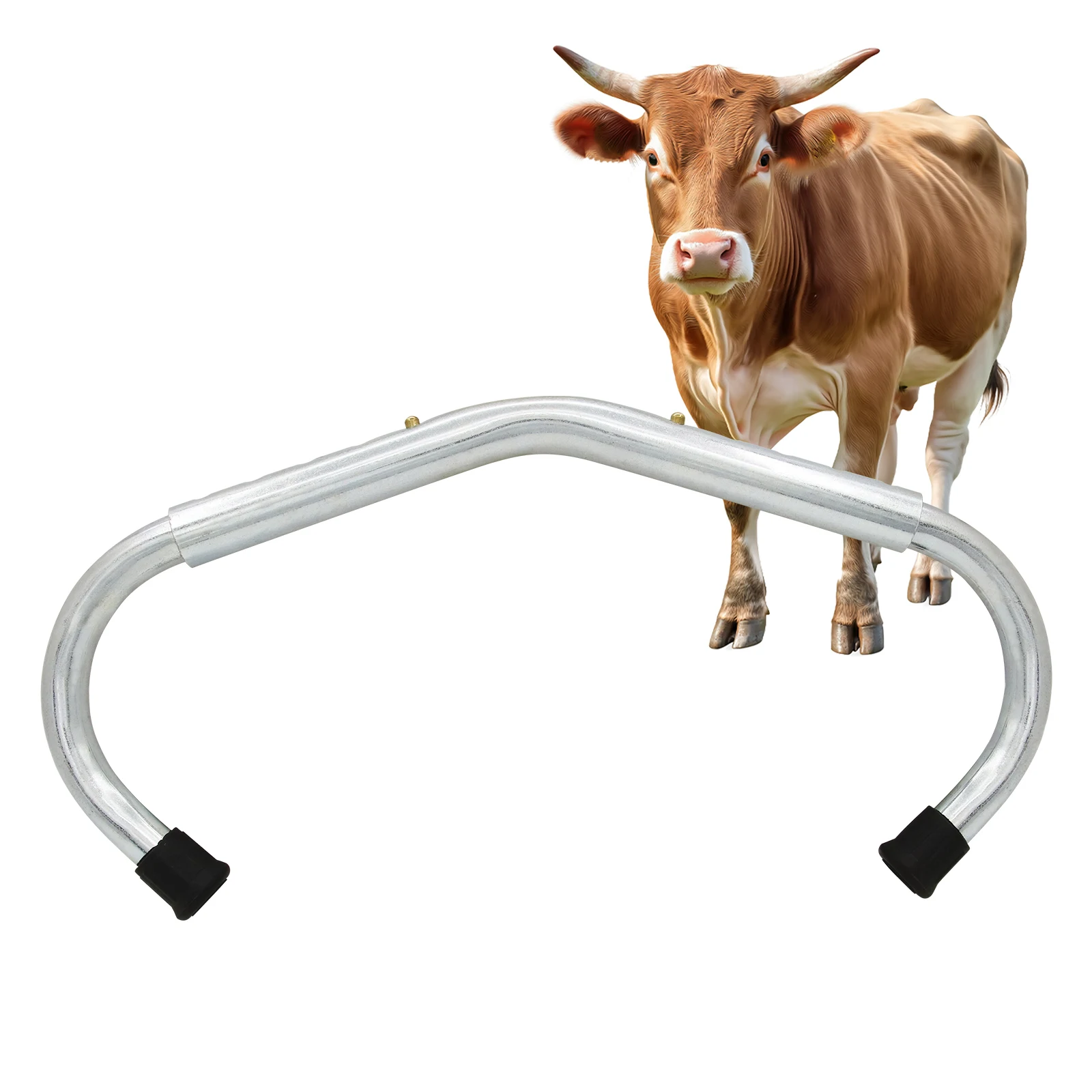 1PC Anti Kick Bar Adjustable In Length Dairy farm Instruments for Cow ...