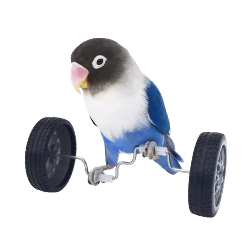 1PCS-Mini-Double-Row-Roller-Skates-Bird-Toys-Bicycle-Parrot-Balance-Toy ...