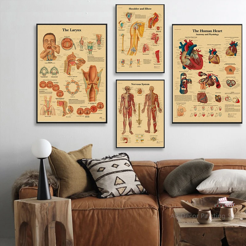 Retro Organ Systems In The Human Body Posters Skeleton Anatomy Kraft ...